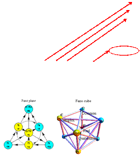 E8 Particle Assignment Symmetry